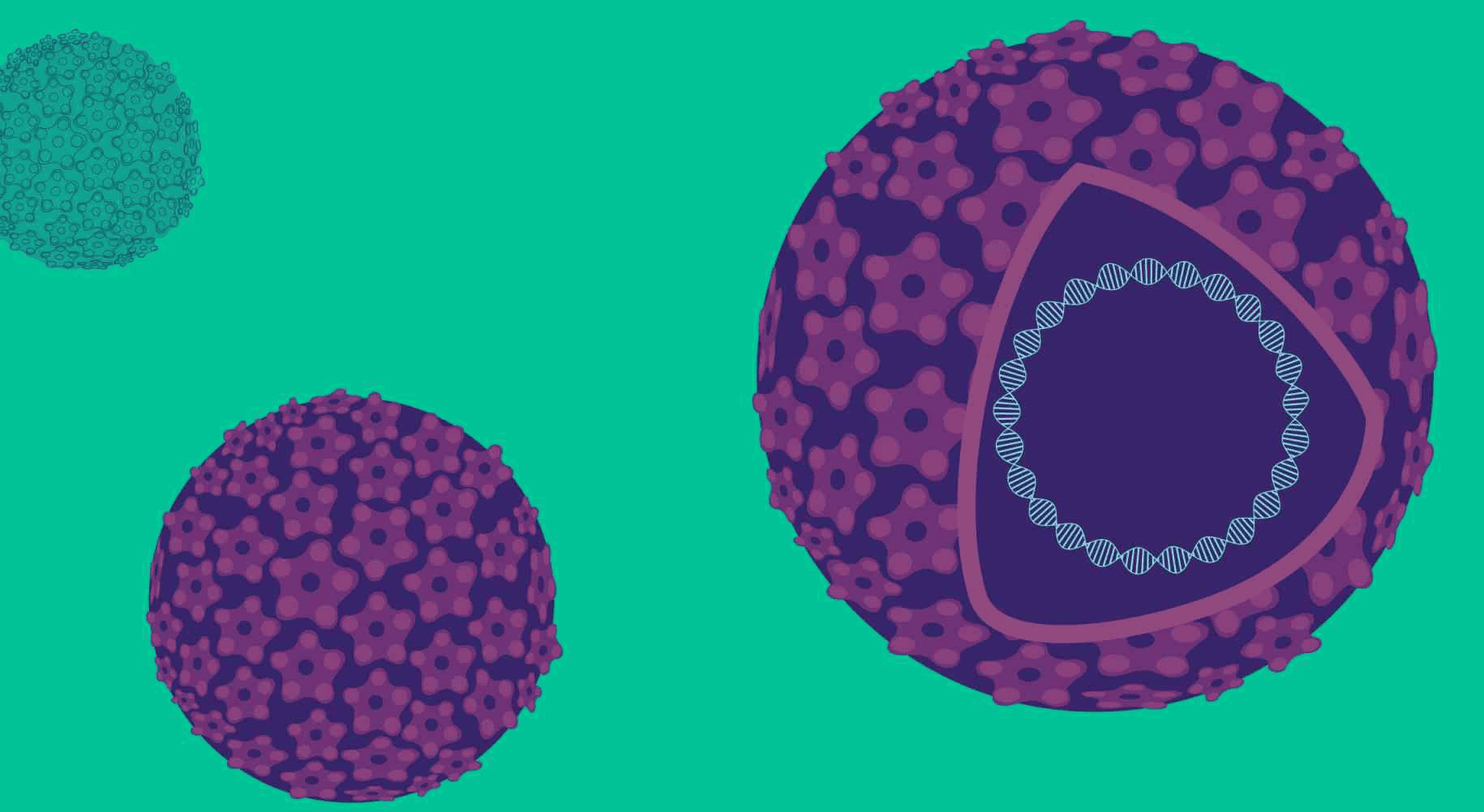 Genital Warts In Women – Is It Dangerous, How Do You Treat Them and ...